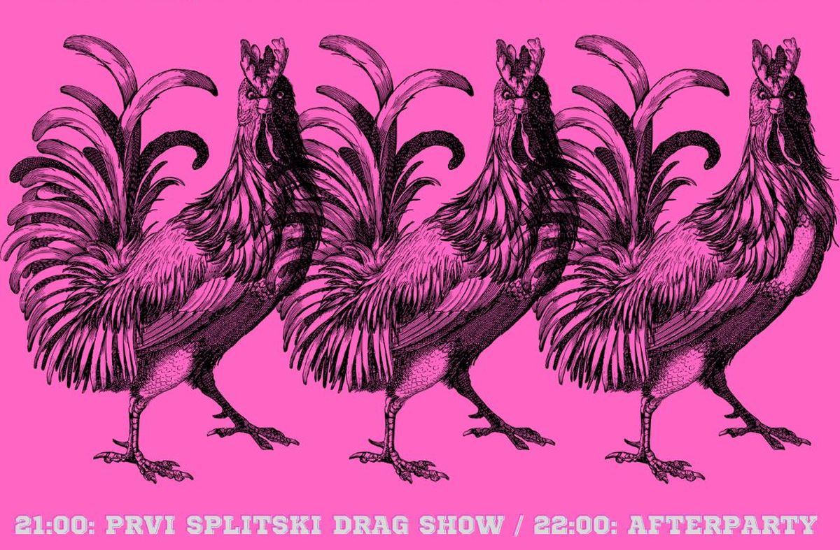 DREG KOKOŠINJAC / Prvi splitski drag show - LGBT Centar Split